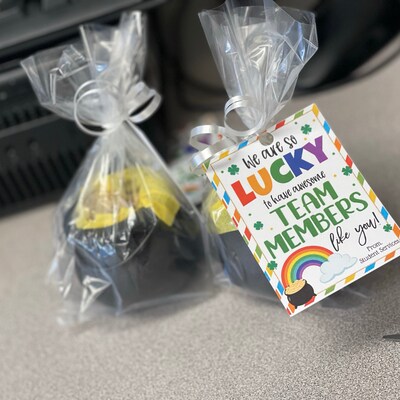 Printable/editable We Are so Lucky to Have Awesome Team Members Like ...