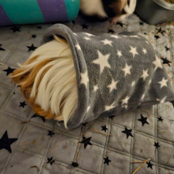 8 Designs ***high Quality**polar Fleece** Small Animal ,pet, Guinea Pig ...