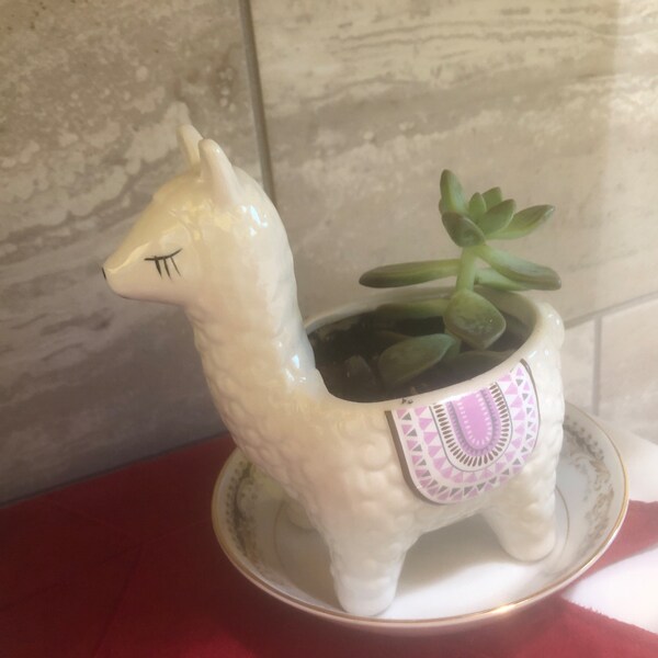 People Planter - "gamer" (#7) - Etsy