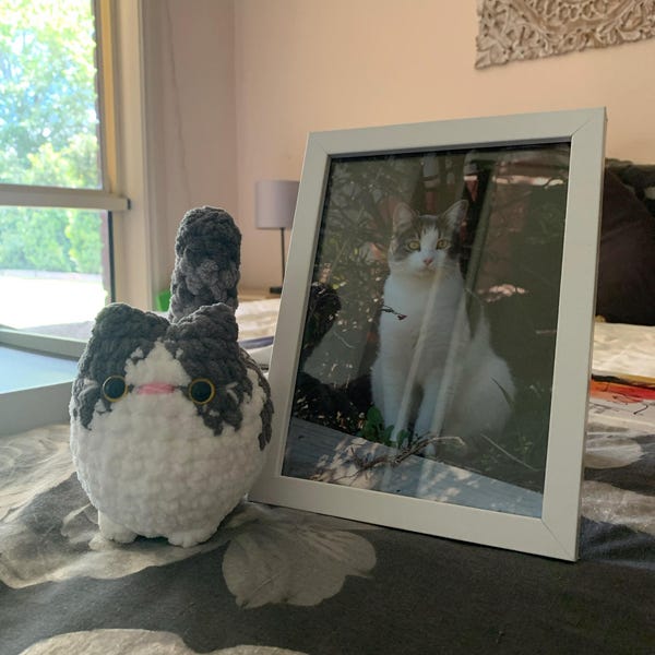 Blind Box Fish Series 1 - Crochet Amigurumi Plushie - Etsy