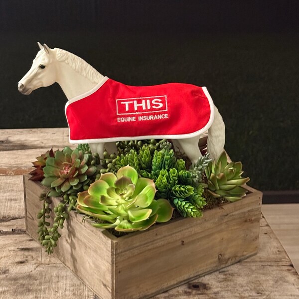 MOUSE 2023 Winterfest Exclusive Horse Breyer Sport Pony Original Finish ...