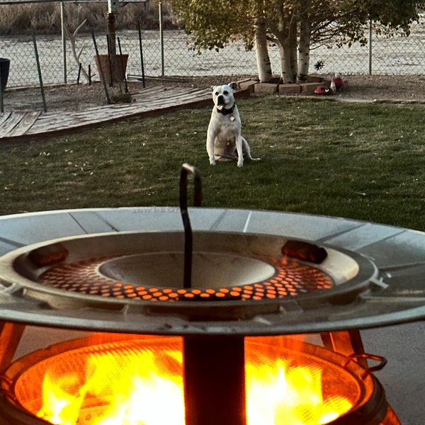 Solo Stove Bonfire Fire Pit Dolly Wheeled Base Mobile Stand. Fits Any ...