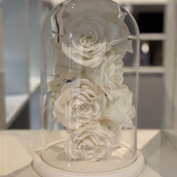 Large Glass Dome With Light Grey Wooden Base | 26 V 17 Cm (h, W ...