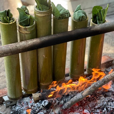 2 Fresh Cut Bamboo Choose From 1 to 8 Feet Long - Etsy