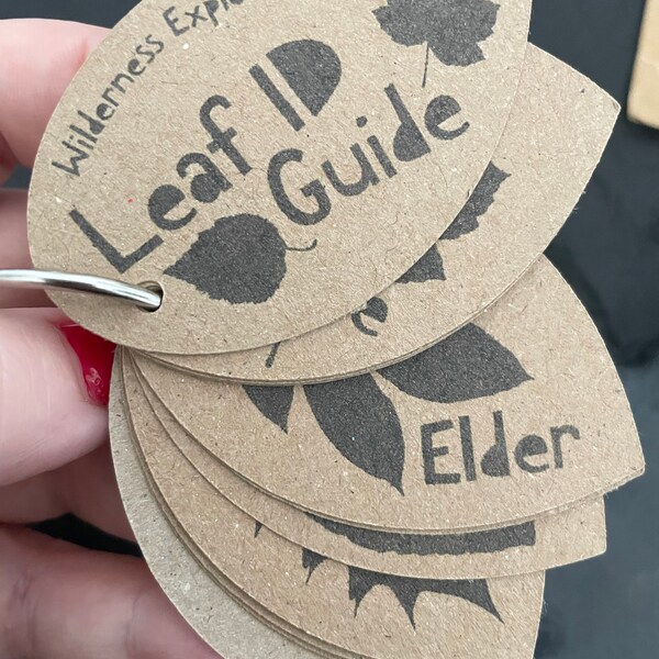 Animal Tracks ID Guide - Perfect for Forest School, Child Minder, Home ...