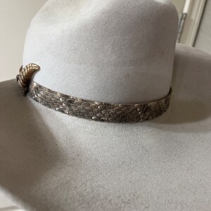 8 to 9 River Cooter Turtle Shell 1077-0809 10UBS - Etsy