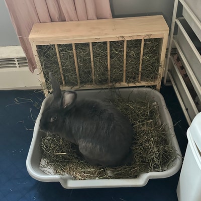 Small Vertical EZ Entry Hop Box: Rabbit Bunny Easy Entry Hay Feeder and ...