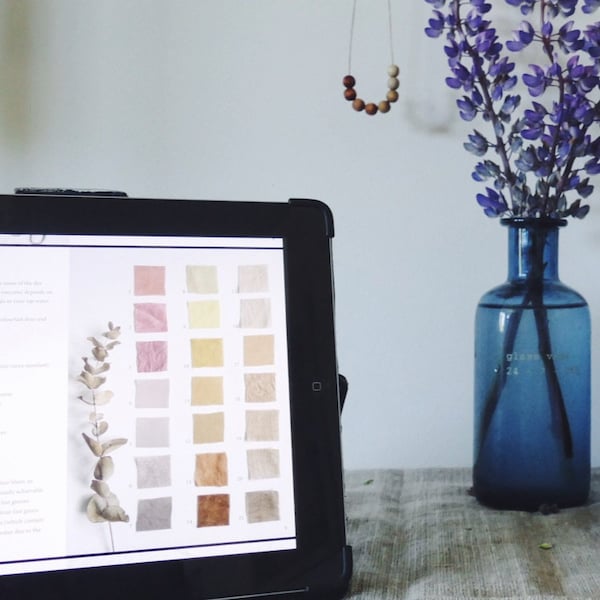 Ebook - 'botanical Dyes on Wood' - Plant Dyeing/natural Dyeing - Etsy