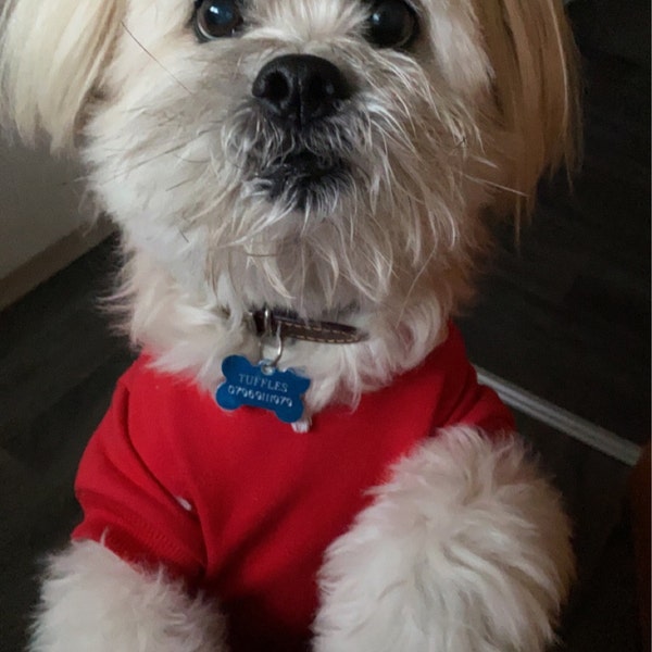 Red Dog Hoodie - Red Dog Sweater - Red Dog Jumper - Dog/puppy Clothing ...
