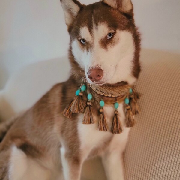 Vegan Leather Tassel Dog Collar W/ Faux Fur Lining ***BUCKLE INCLUDED ...