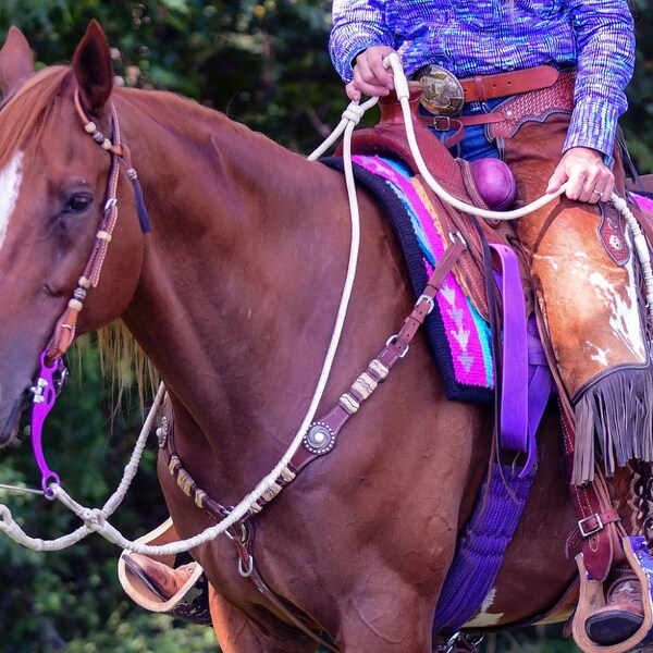 Handmade Bosal Set, 40 Plaits Rawhide Natural & Black Bosal Set, Bosal ...