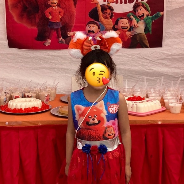 Turning Red Panda Dress, Turning Red Panda Birthday Outfit, Girls Red ...