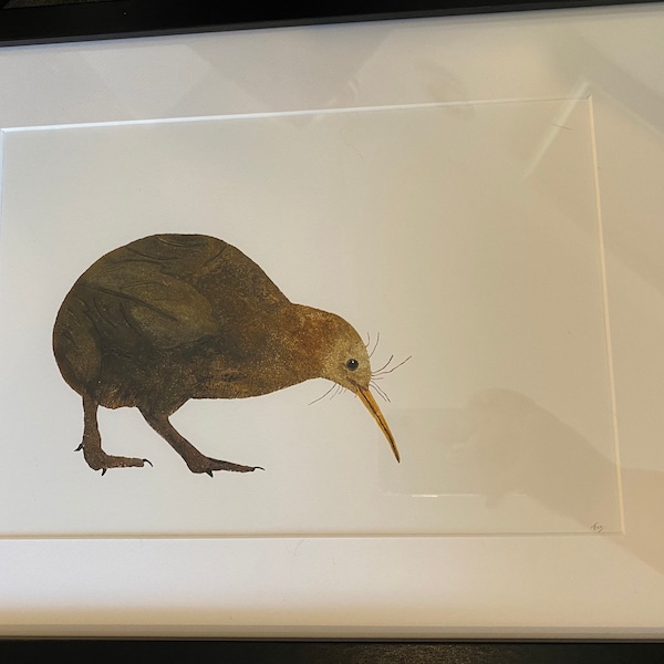 Kiwi (new Zealand Art, New Zealand Birds) - Etsy