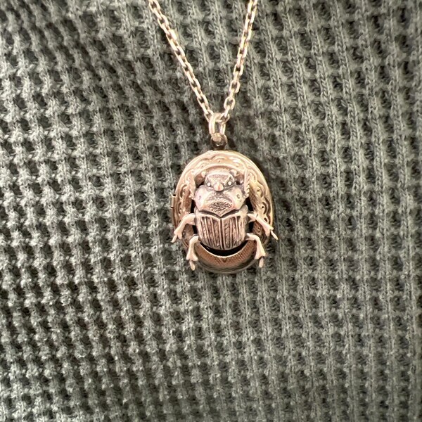 Beetle Locket Oval Insect Men's Locket Entomologist Gift Gothic Bug ...