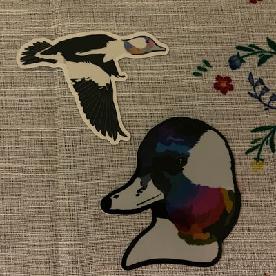 Im Fast as F Boi Blue Wing Teal Duck Sticker - Etsy