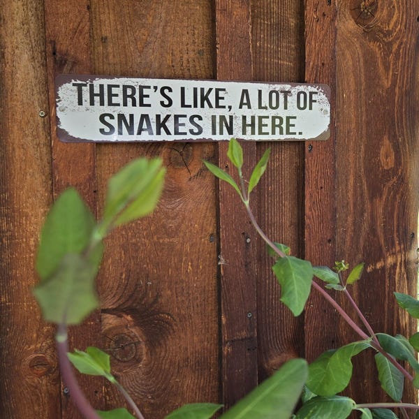 Funny Chicken Run Sign - Chicken Coop Décor - Crazy Chicken Lady Gift ...