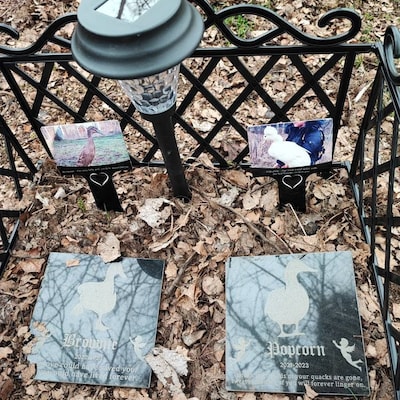 Custom Duck Goose Memorial Stone Pet Tombstone for Duck - Etsy