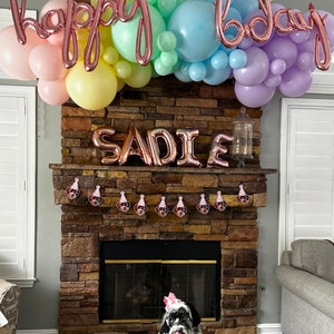 Misty Meadow Balloon Garland Kit / Dusty Blue Balloon Arch, First ...