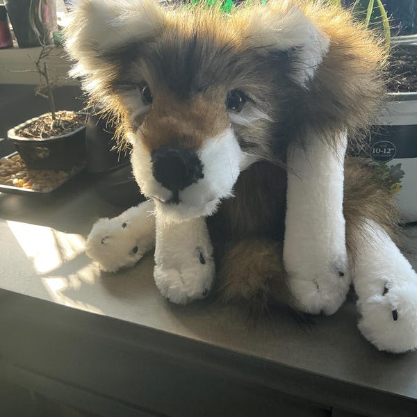 Made to Order! Weighted and Floppy Bat-eared Fox Plush - Etsy