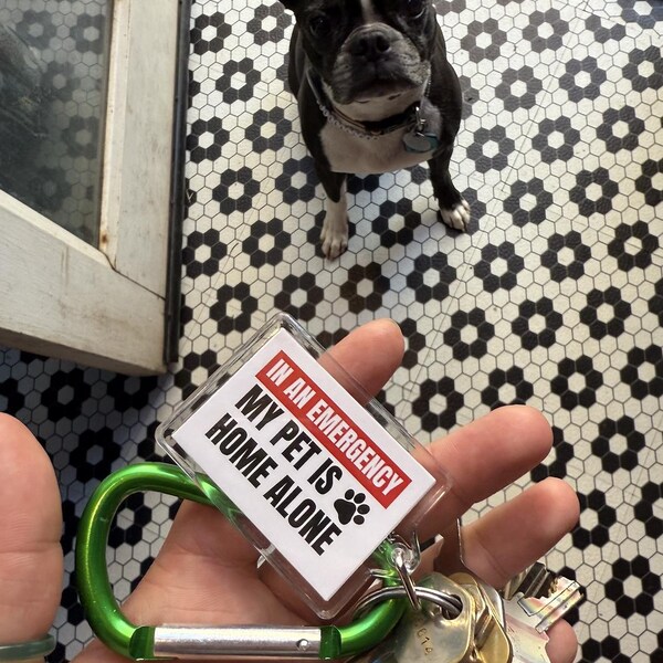 Pet Emergency Keyring & Safety Card, Cat Dog Rescue Wallet Card, Pet ...