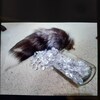 Coyote Pelt Fur Mantle With Black Deerskin - Etsy