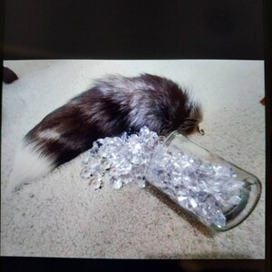 Coyote Pelt Fur Mantle With Black Deerskin - Etsy