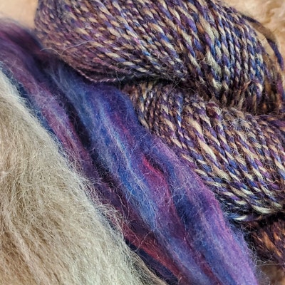 Indigofera Suffruticosa Seed Blue Guatamalan Indigo, Anil Natural Dye ...