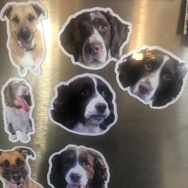 Custom Fridge Magnet, Die Cut Pet Magnets, Personalized Family Photo ...