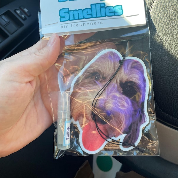 Funny Air Freshener - Flaming Eye Freshener - Cute Air Freshener - Cool ...