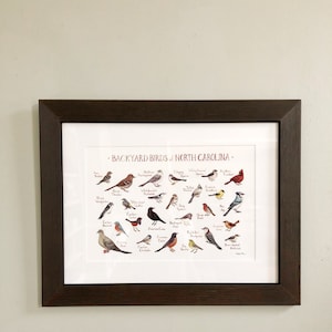 North Carolina Backyard Birds Field Guide Art Print / Watercolor ...