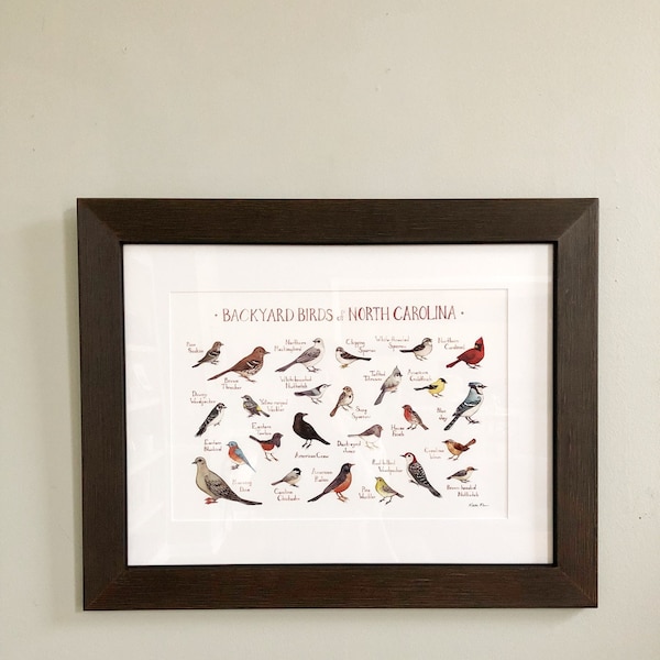 North Carolina Backyard Birds Field Guide Art Print / Watercolor ...