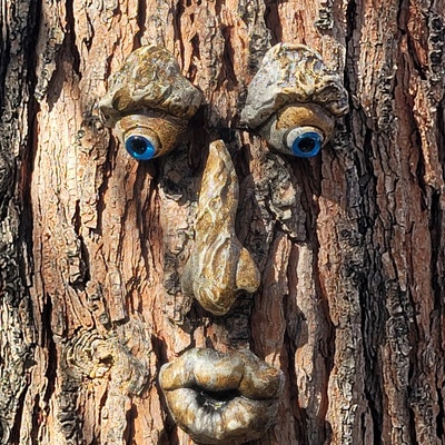 Forrest Stump Concrete Tree Face, Birthday Gifts, Gardeners Gift, Glass ...