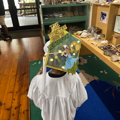 SZA Ctrl supermodel Graduation Cap Topper - Etsy UK