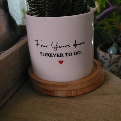 Personalized DNP Graduation Gift 3 White Ceramic Pot W/ Live Plant DNP Gift Doctor of Nursing ...