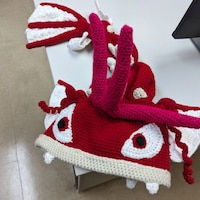 CROCHET PATTERN ONLY - Gyarados and Magikarp Beanie - Etsy Canada