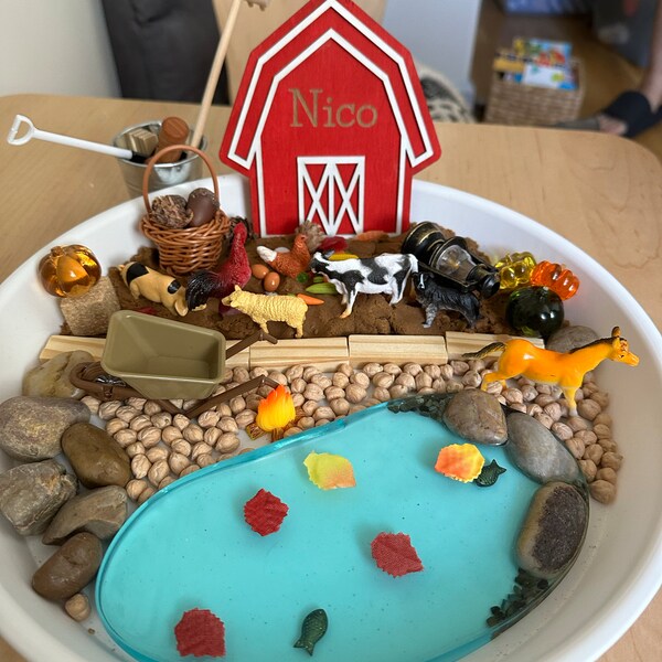 Fall Sensory Bin, Farm Sensory Tray, Montessori Messy Play, Loose Parts ...