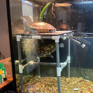 Tank Topper Turtle Dock Sits on Top of Your Aquarium and Fits 18-19 ...