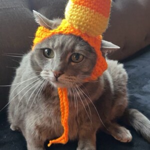 Apple Hat for Cats - Etsy