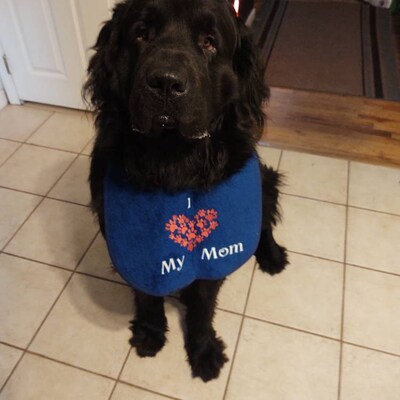 Slobber, Drool .bibs Personalised With Your Pets Name Great for ...