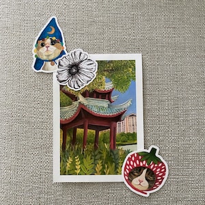 Funny Birthday Sweater Cat/ Smug Cat/ Birthday Card/ Cheeky | Etsy