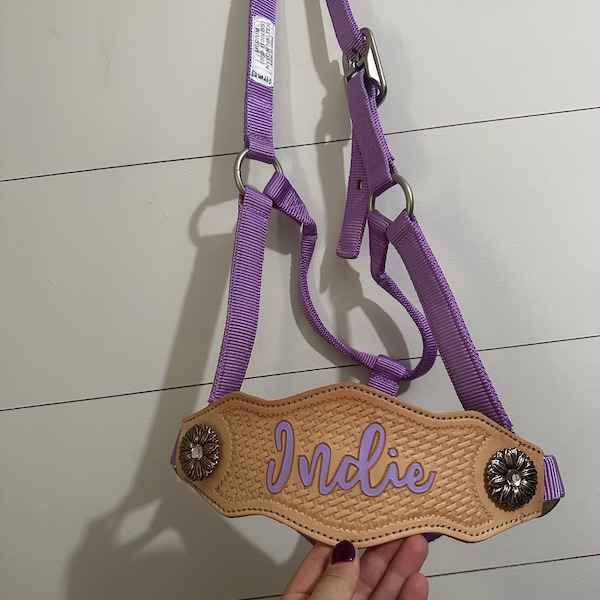 Custom Nylon Bronc Halter - Stronger Design Than Tab Style - Etsy