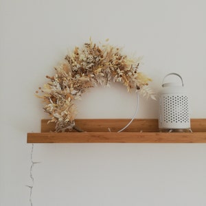 Dried Conkers Conkers in Shells dried Natural Conkers | Etsy