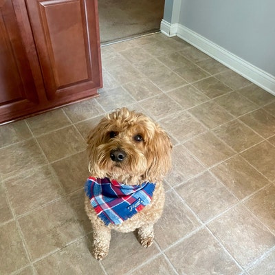 Huckleberry Dog Bandana summer, Spring, Rustic, Flowers, Floral, Summer ...