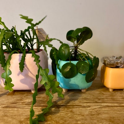 Pastel Coloured, Rounded Cube Pot, Planter, Pot With Feet, Coloured Pot ...