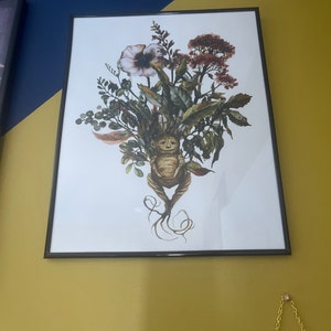 Herbology Medicinal Plant Chart Magic Botanical Watercolor - Etsy