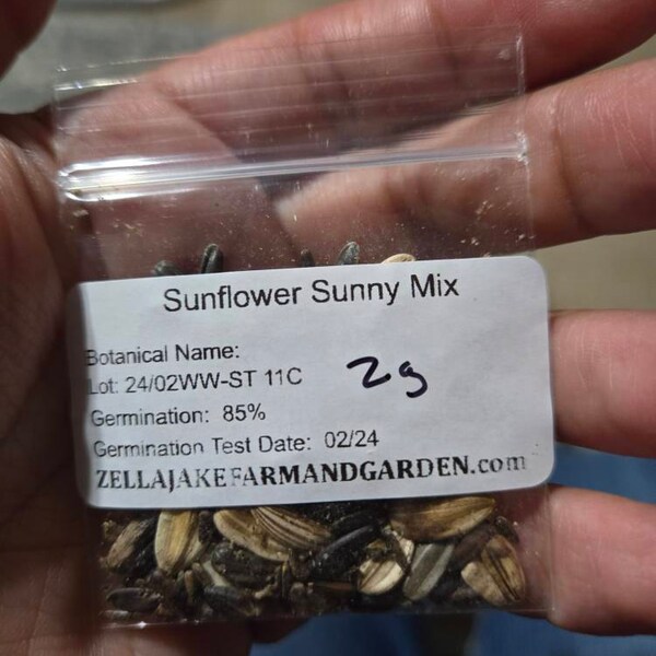 Sunny Sunflower Seed Mix - 30 Seeds, 2 Grams - Buy 2 Get 1 Order Free ...