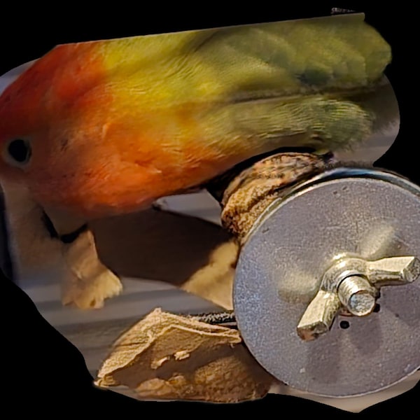 Double Corrugated Cardboard Circles per 15 Pcs. - Etsy