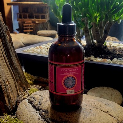 Japanese Knotweed/ Extract // Organic 1 Oz. - Etsy