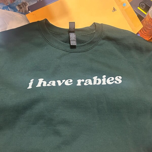 I Have Rabies Funny Hoodie, Unhinged Meme Sweatshirt, Grunge Y2k ...