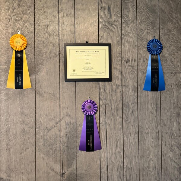 AKC Virtual Rally Title Ribbon Rosette - Novice, Intermediate, Advanced ...
